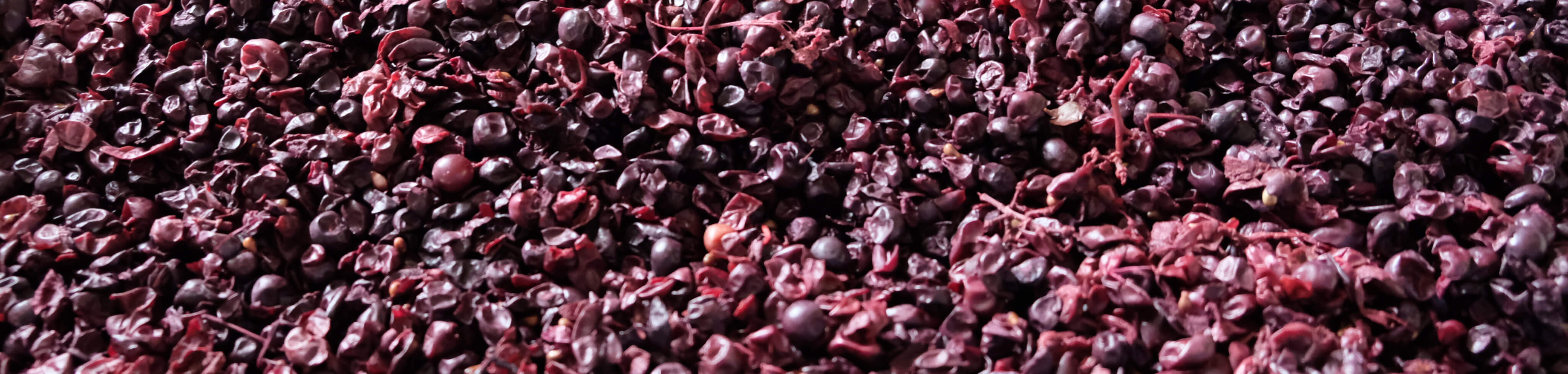 Definition of oenology, the science of good wine! - Wine-ingredients